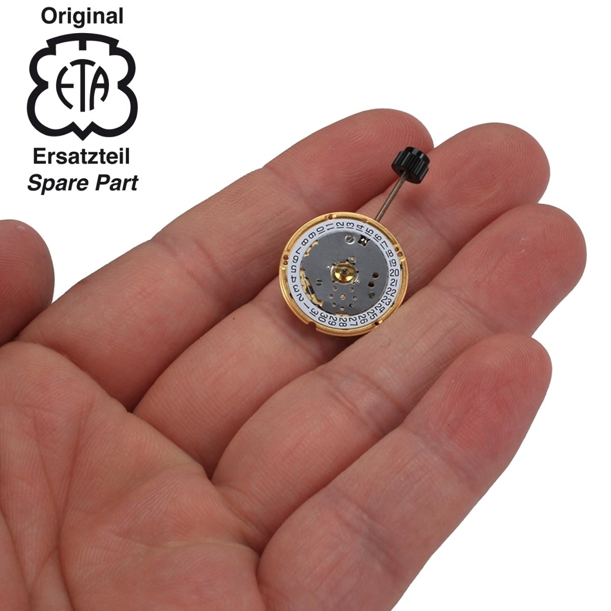 Movimento de relógio de quartzo ETA F03.111 - Compre movimentos ...